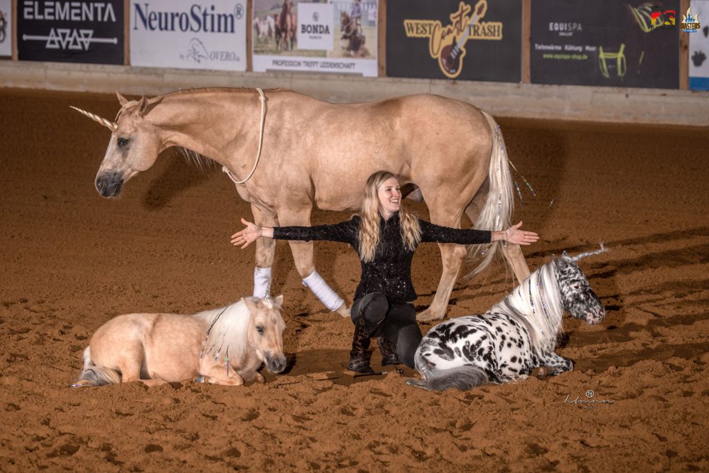 Freiarbeit - mit Julia Libertyhorses - jetzt loslegen!